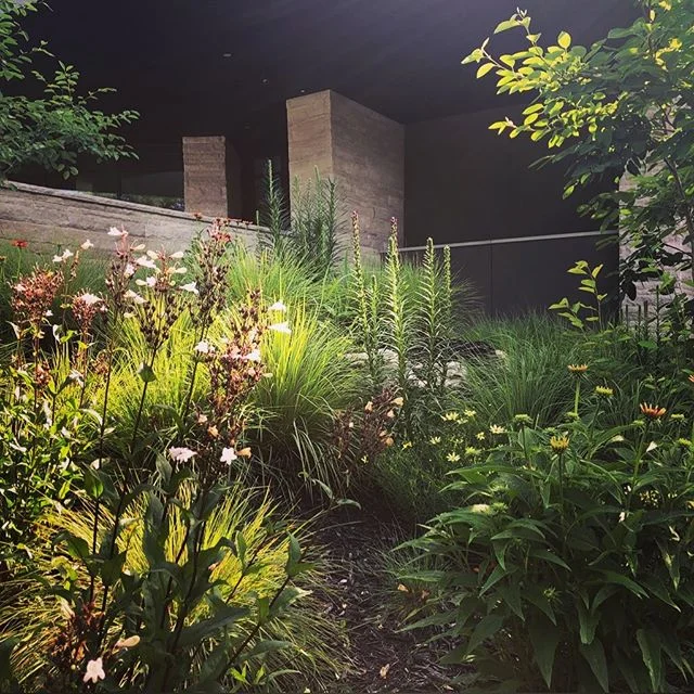 Vox Landscape Design