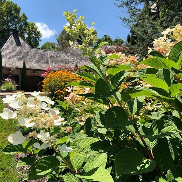 Vox Landscape Design