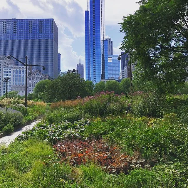 Vox Landscape Design