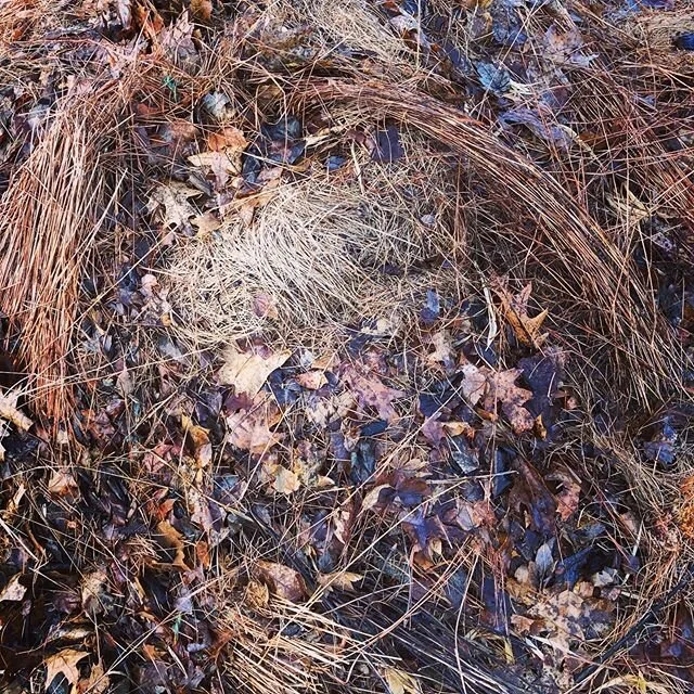 Vox Landscape Design