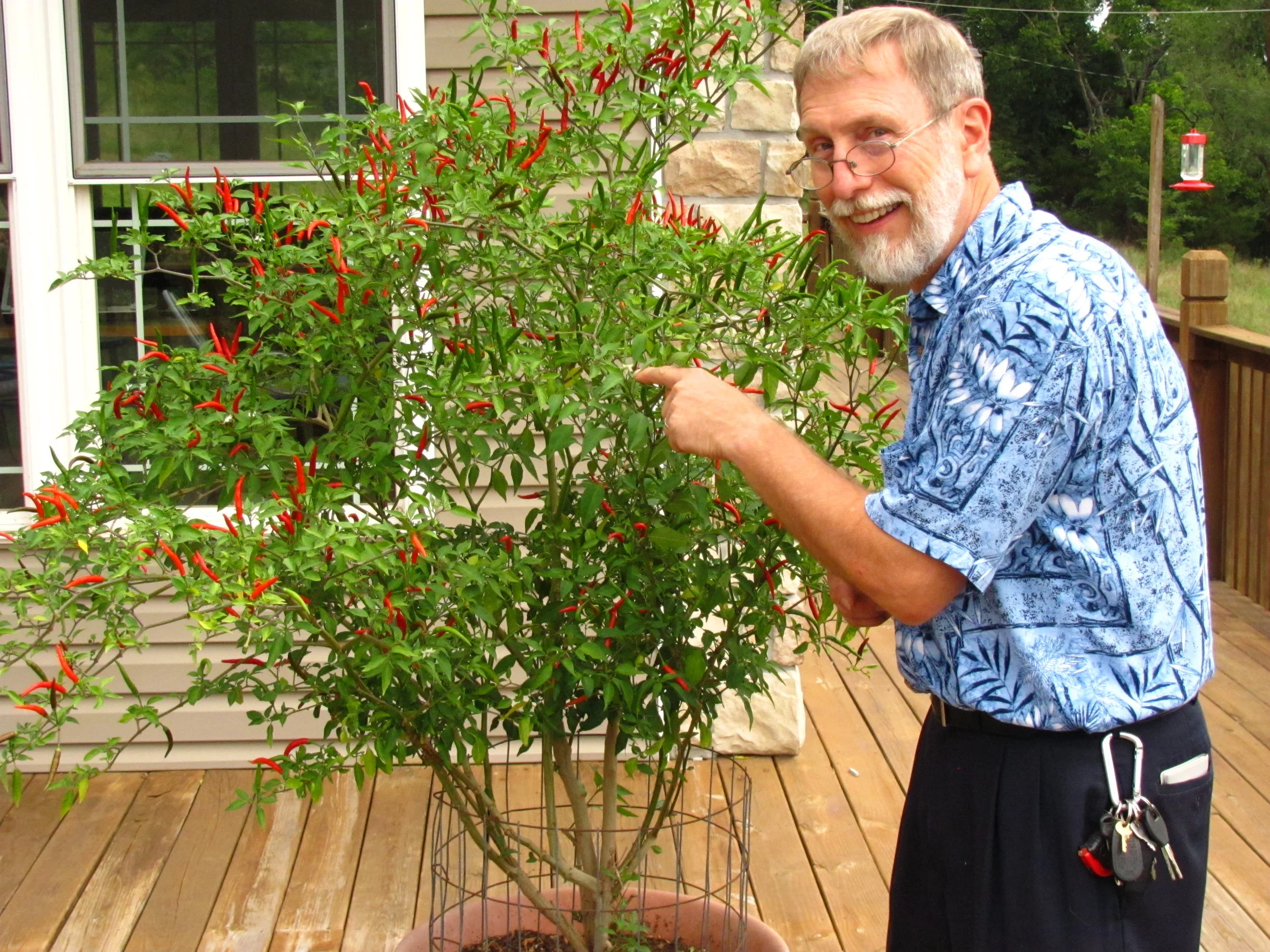 Clyde's Garden Blog — Clyde's Garden Planner