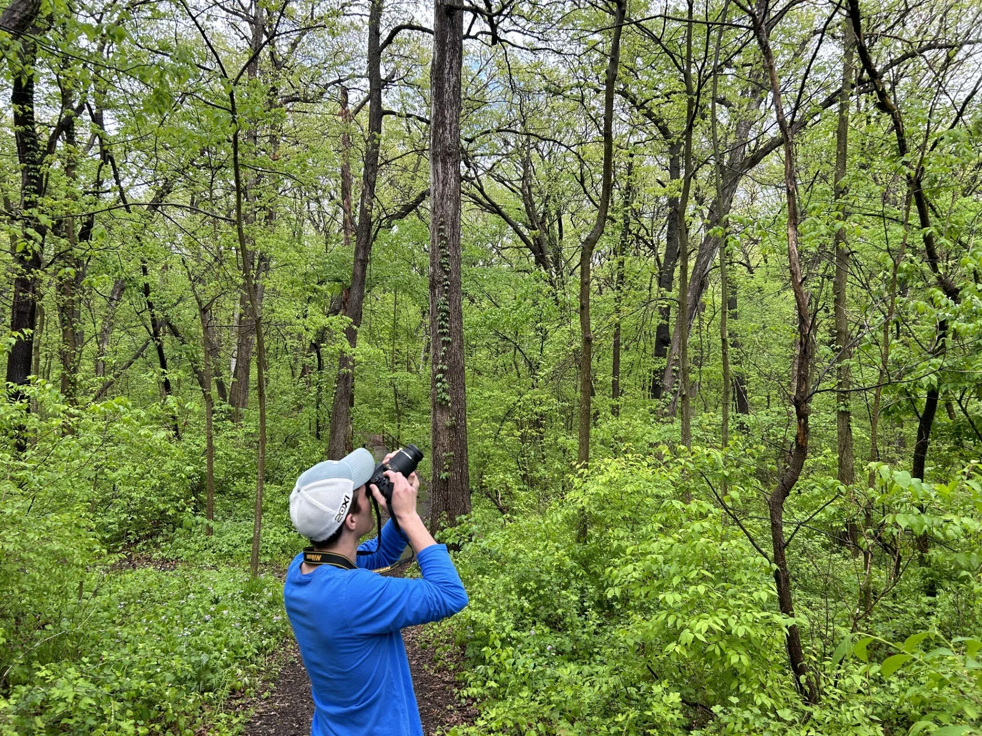 Programs — Atwood Park