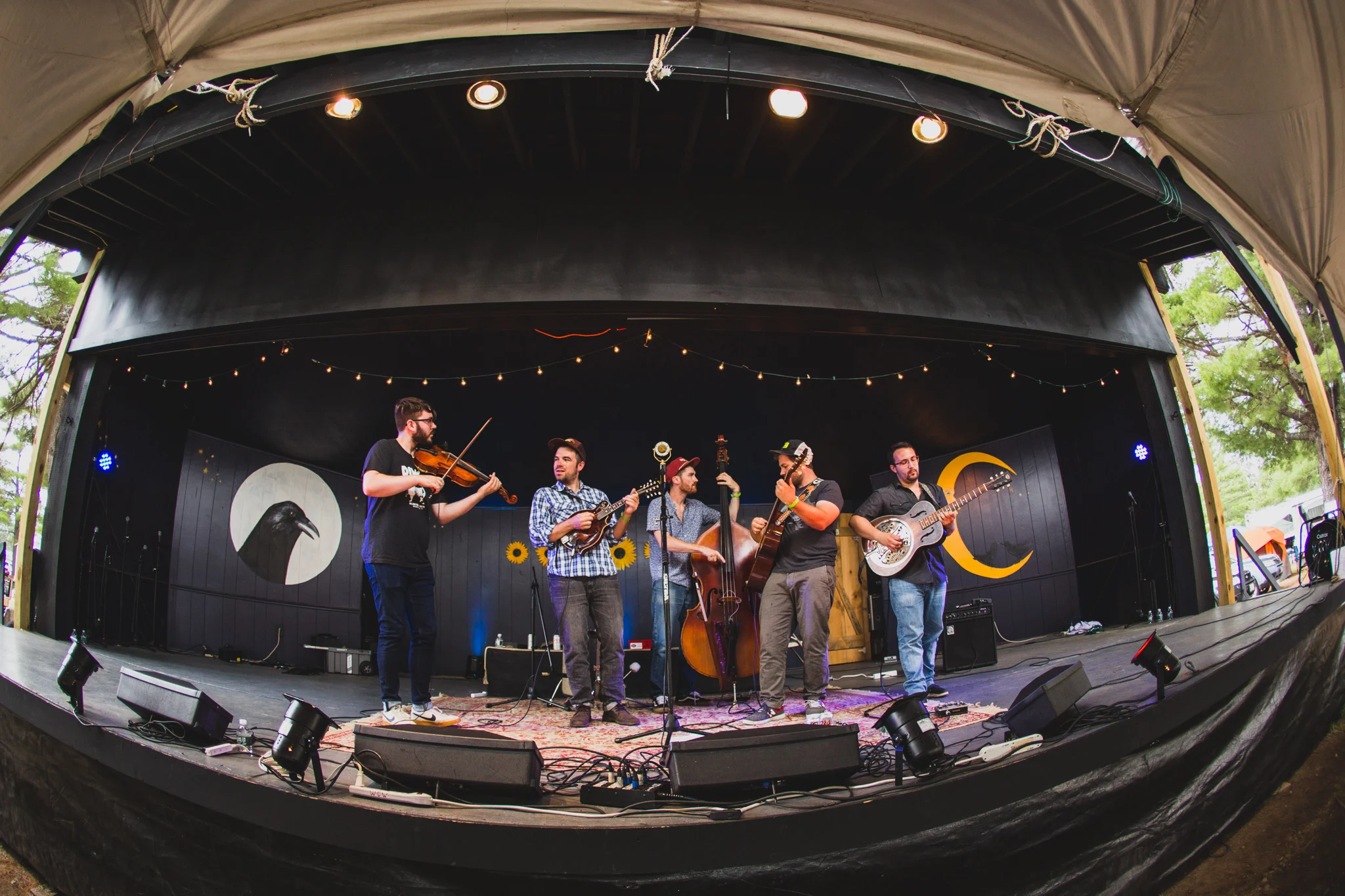 Photos — Grain Thief