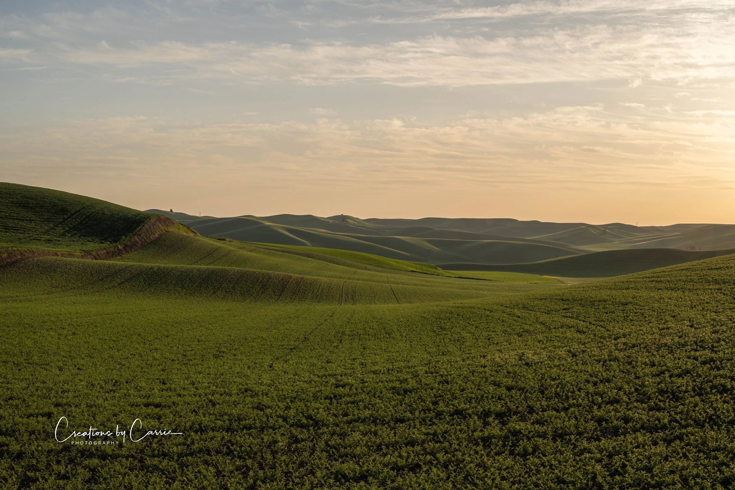 Palouse Landscape — Creations by Carrie