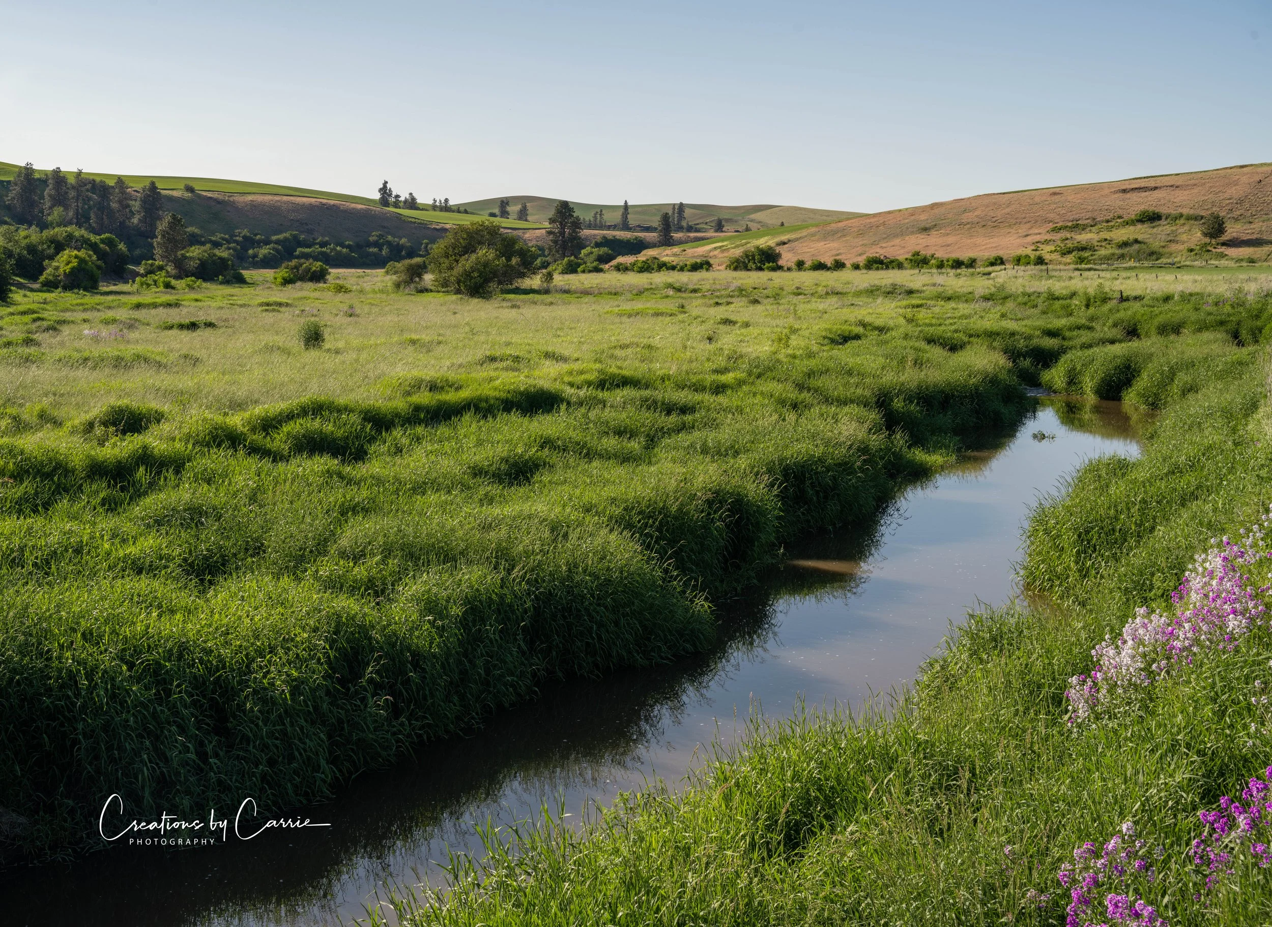 Palouse Landscape — Creations by Carrie