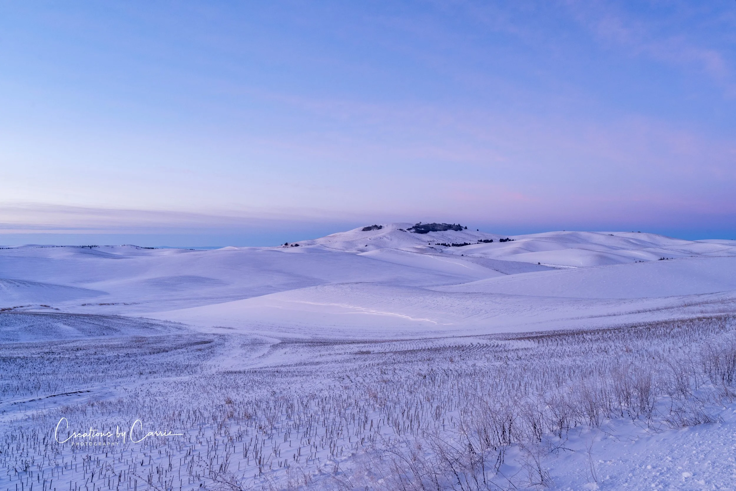 Palouse Landscape — Creations by Carrie