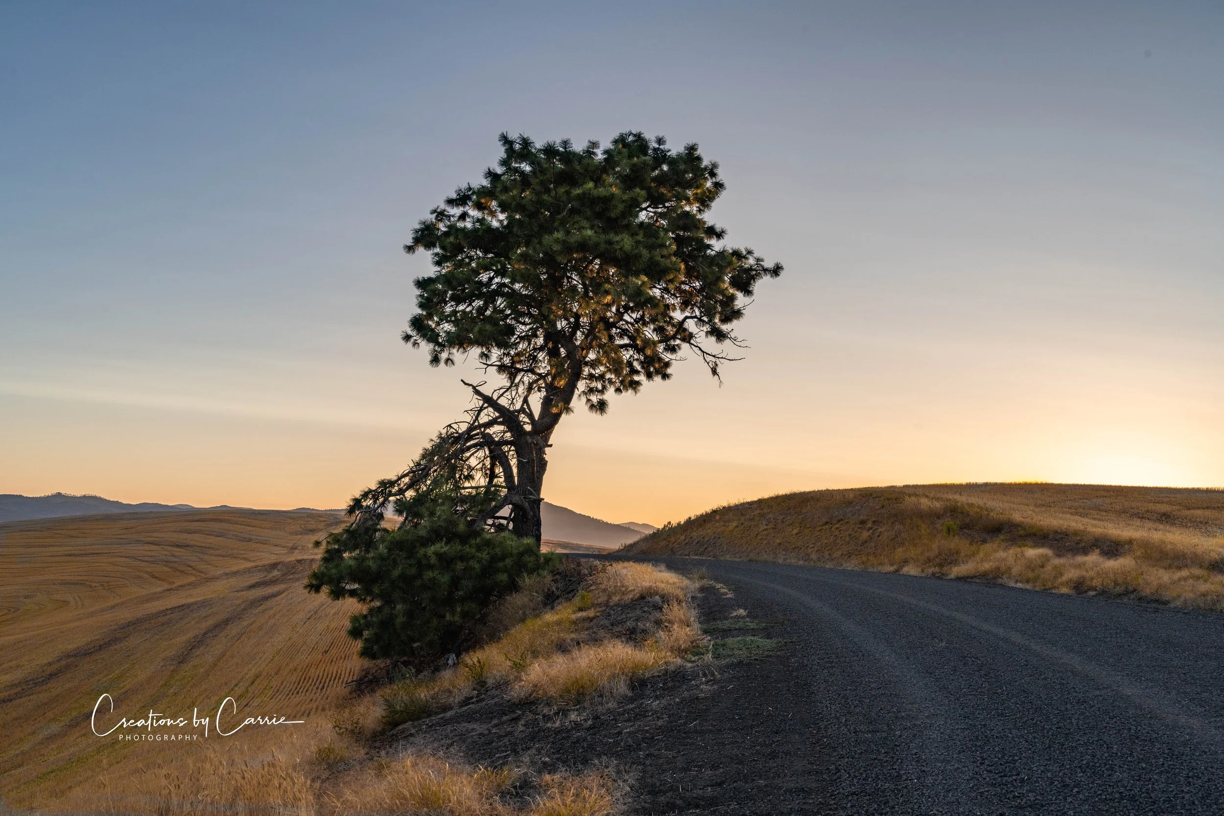 Palouse Landscape — Creations by Carrie