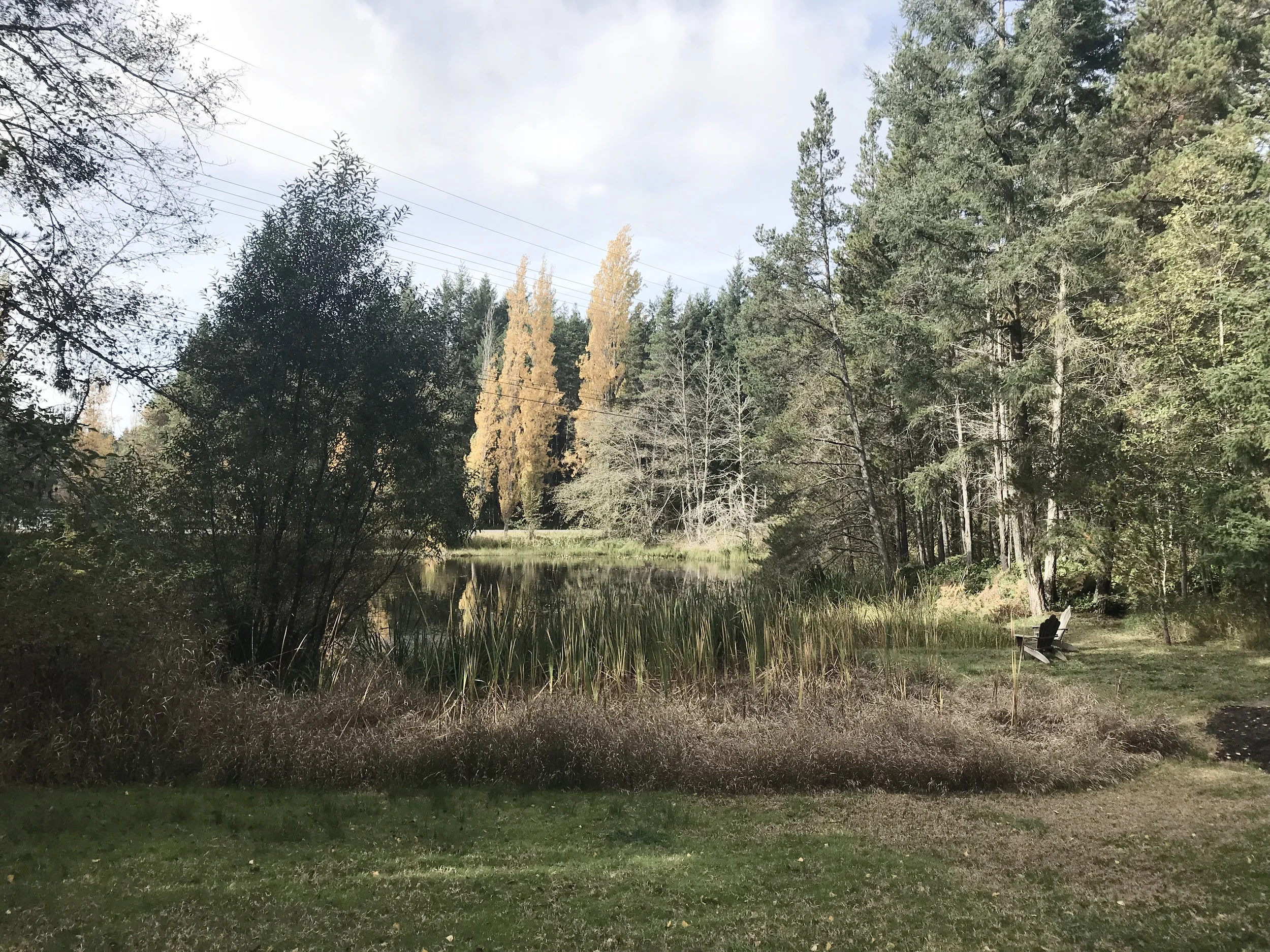 Duck Soup Restaurant | San Juan Island, WA