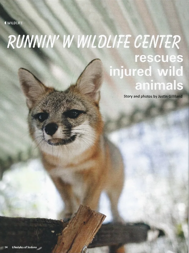 Our Animals — Runnin' W Wildlife Center