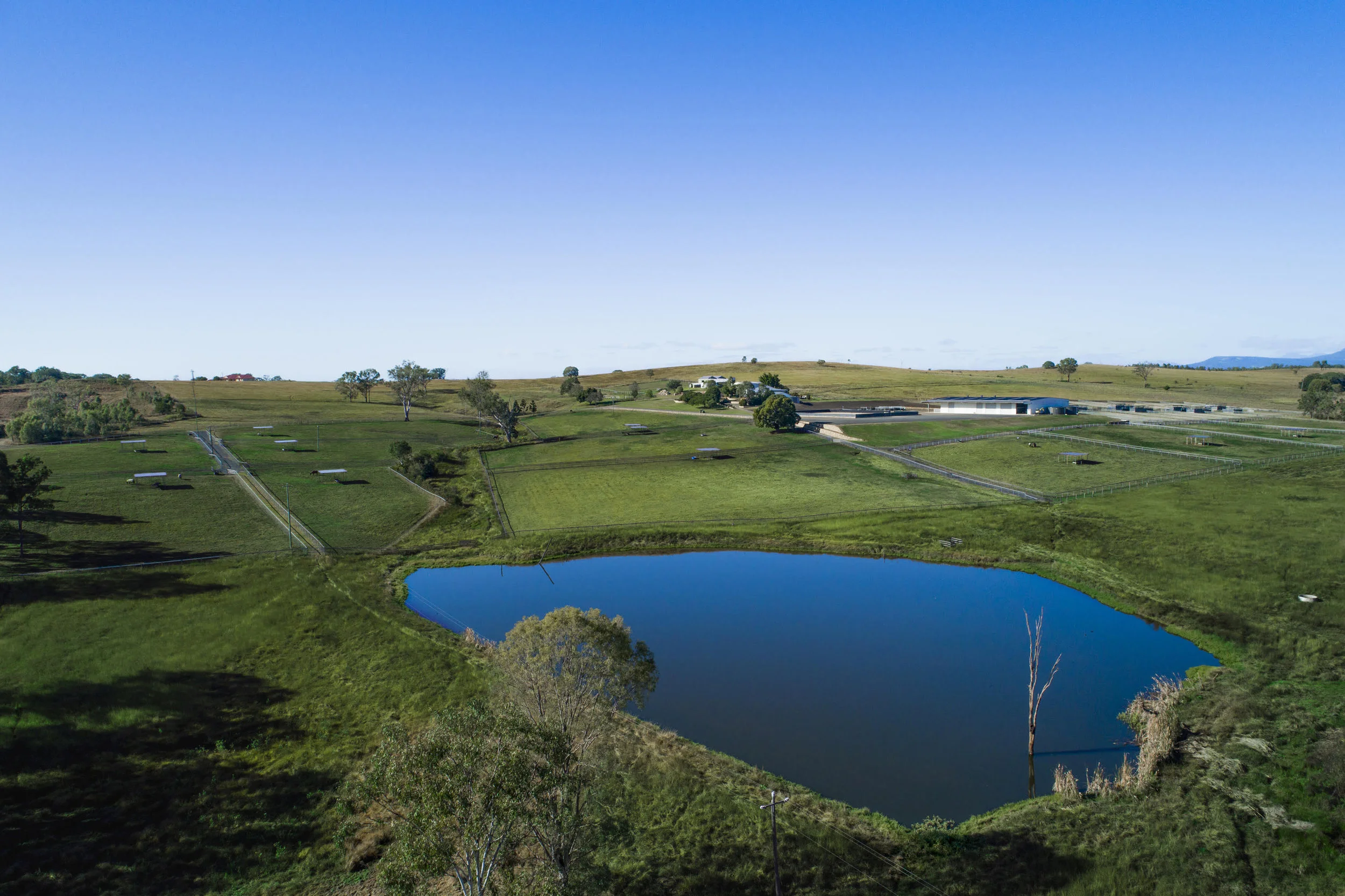 Home — Universal Stables