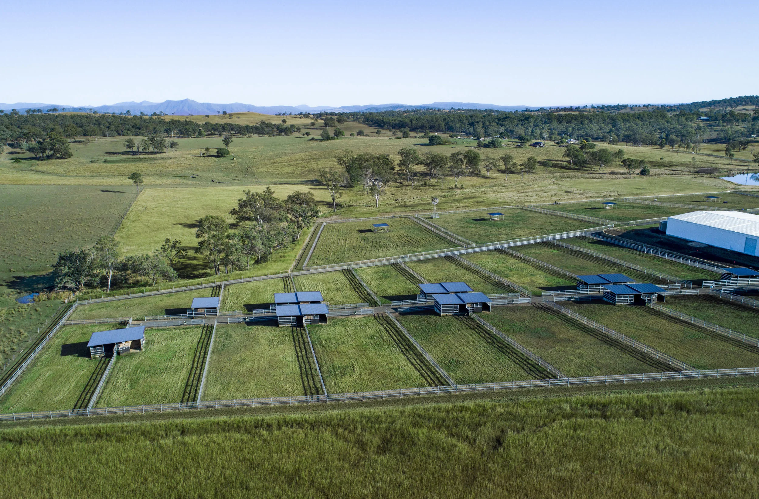 Home — Universal Stables