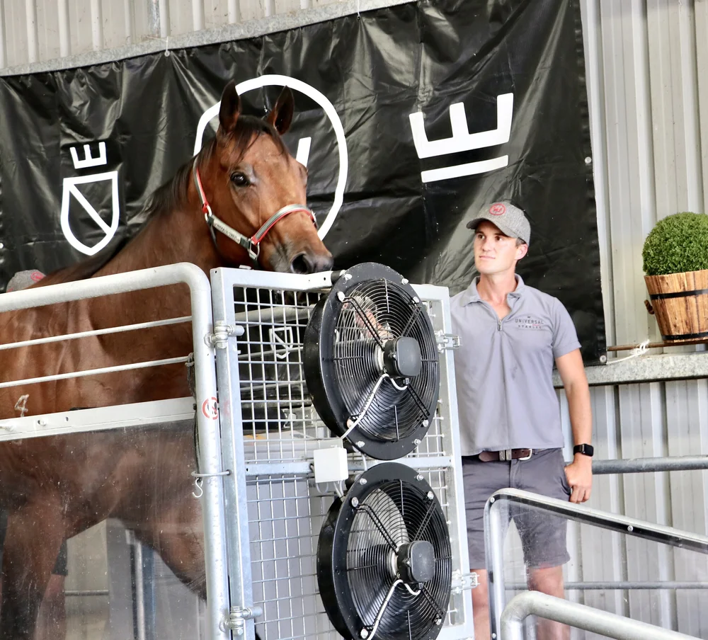 Thoroughbred Pre-Training Queensland — Universal Stables