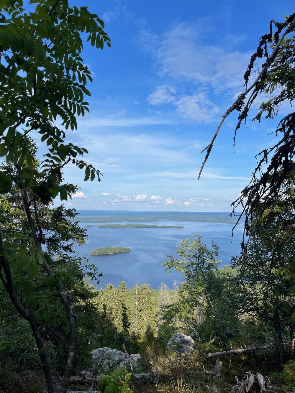 The sacred geology of the mystical Koli — Karhun Talo