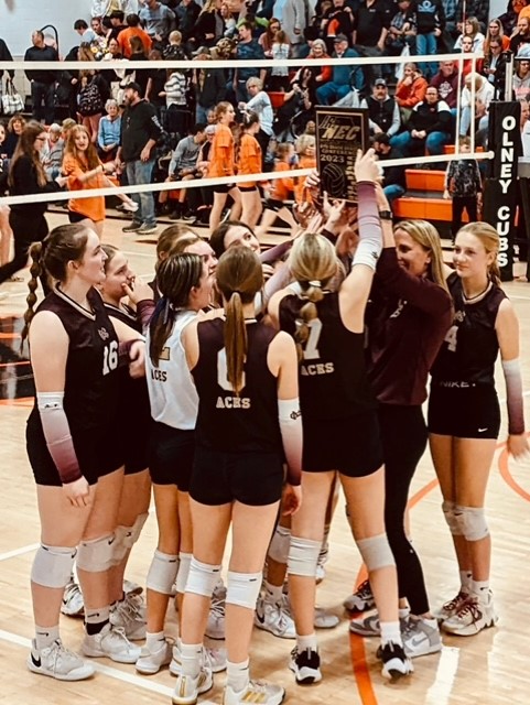 Mt. Carmel Volleyball Clinch Jr. NEC Titles For 7th And 8th Grade