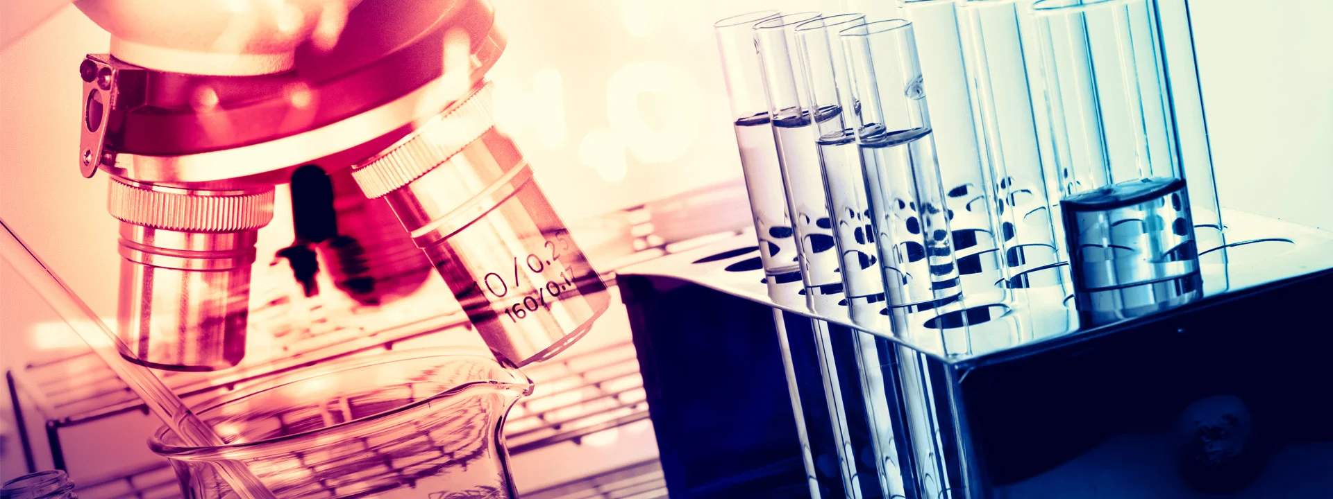 ABOUT — Search Group of San Diego