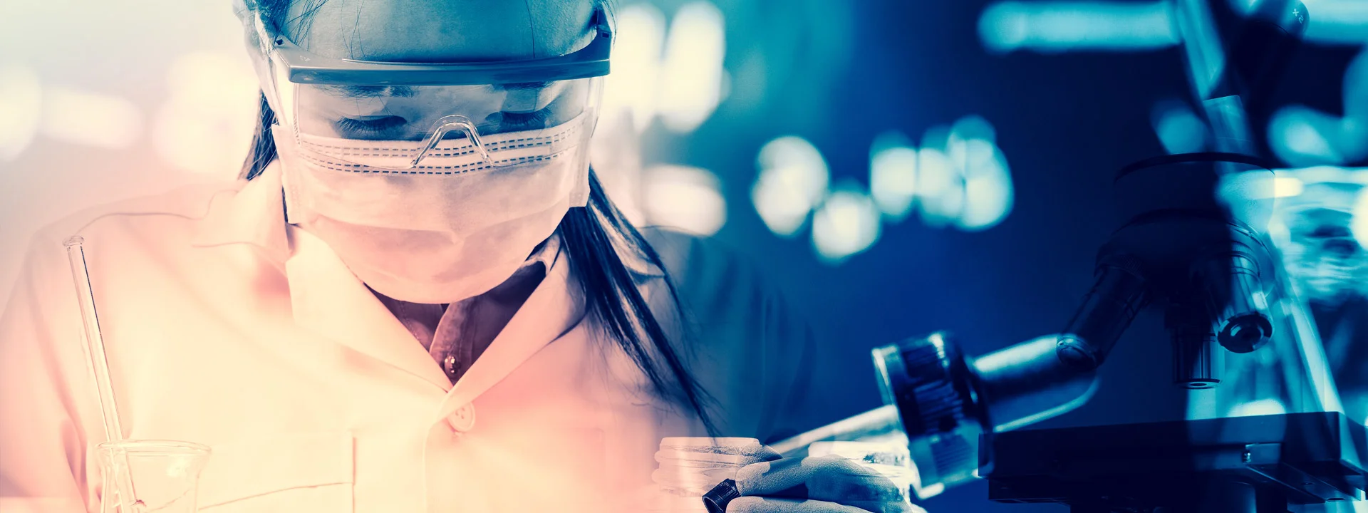 OPENINGS — Search Group of San Diego