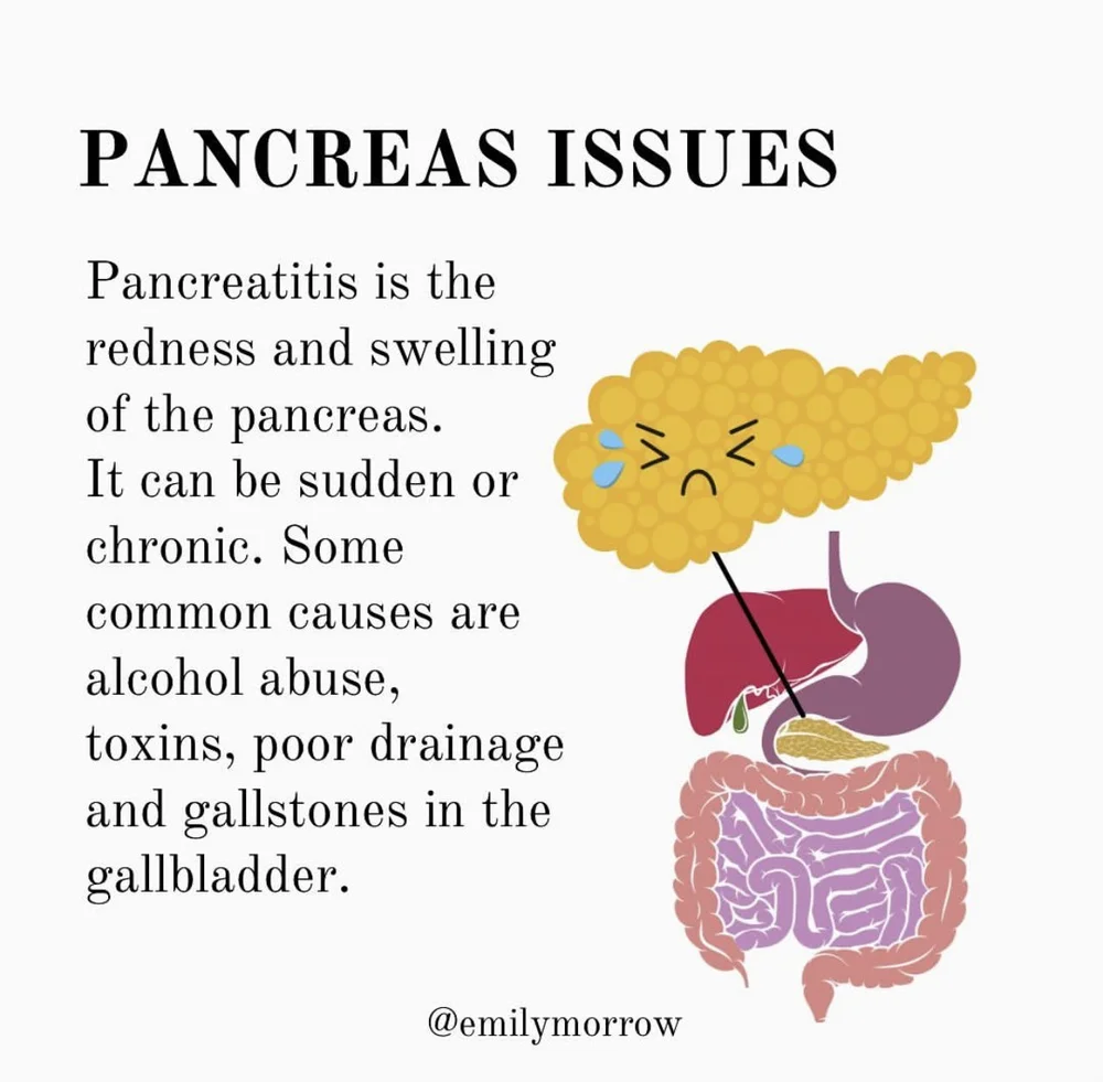 The Pancreas: Roles, Signs of Dysfunction & Support