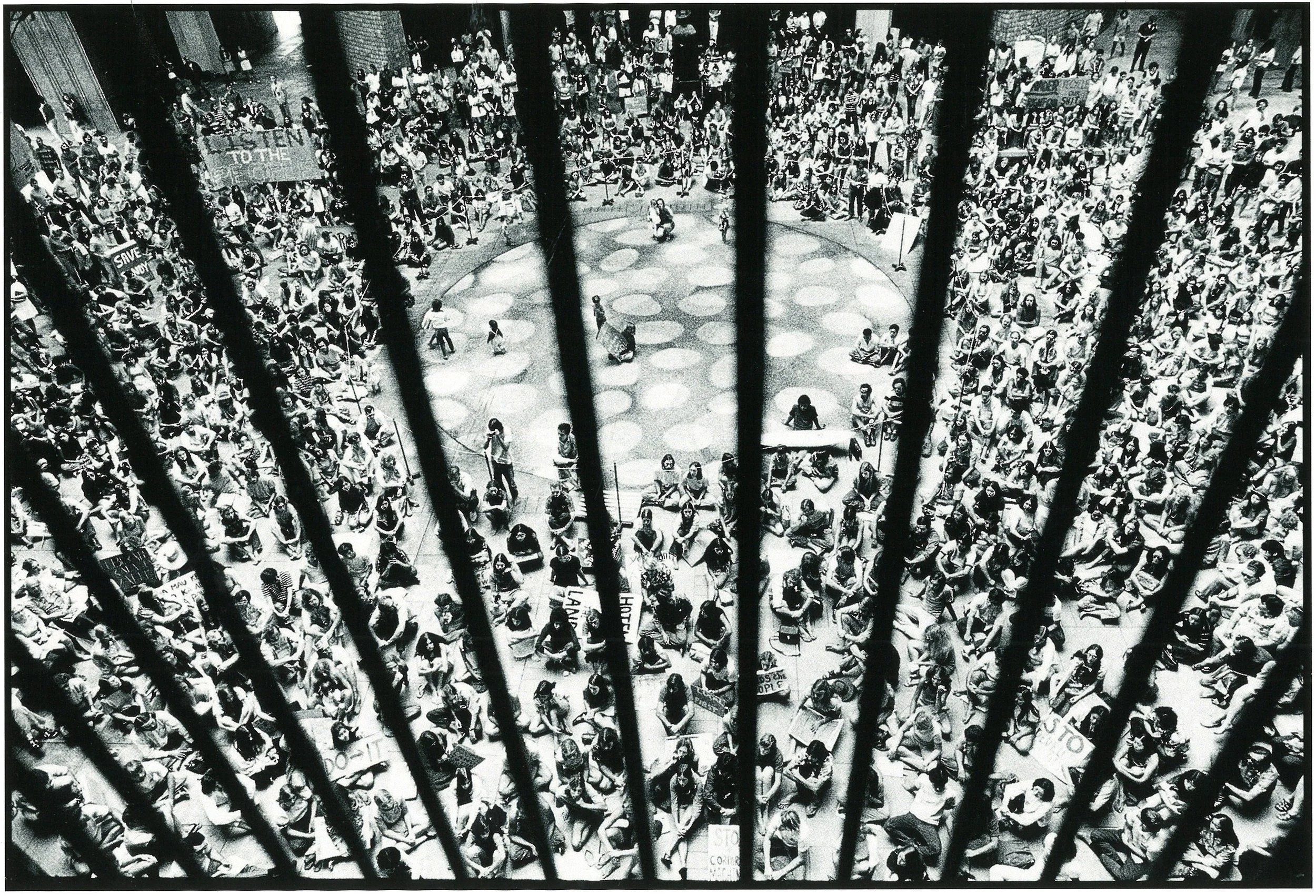 Art in Conversation • Ed Greevy with Noe Tanigawa — Hawaii Contemporary