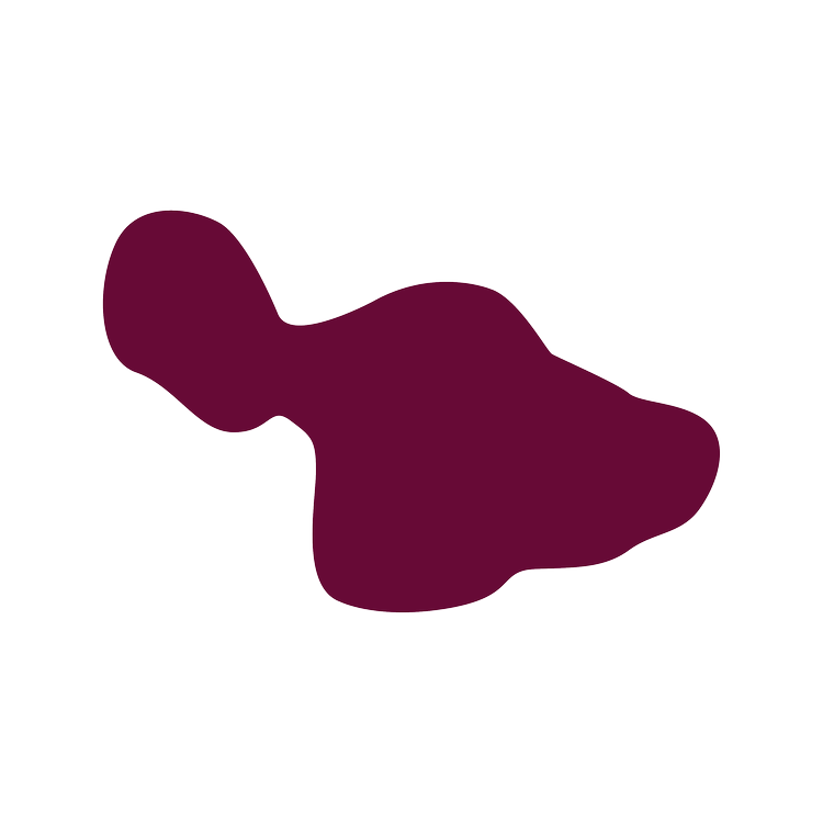 Plan Your Visit to Hawai'i Triennial 2025 — Hawaii Contemporary