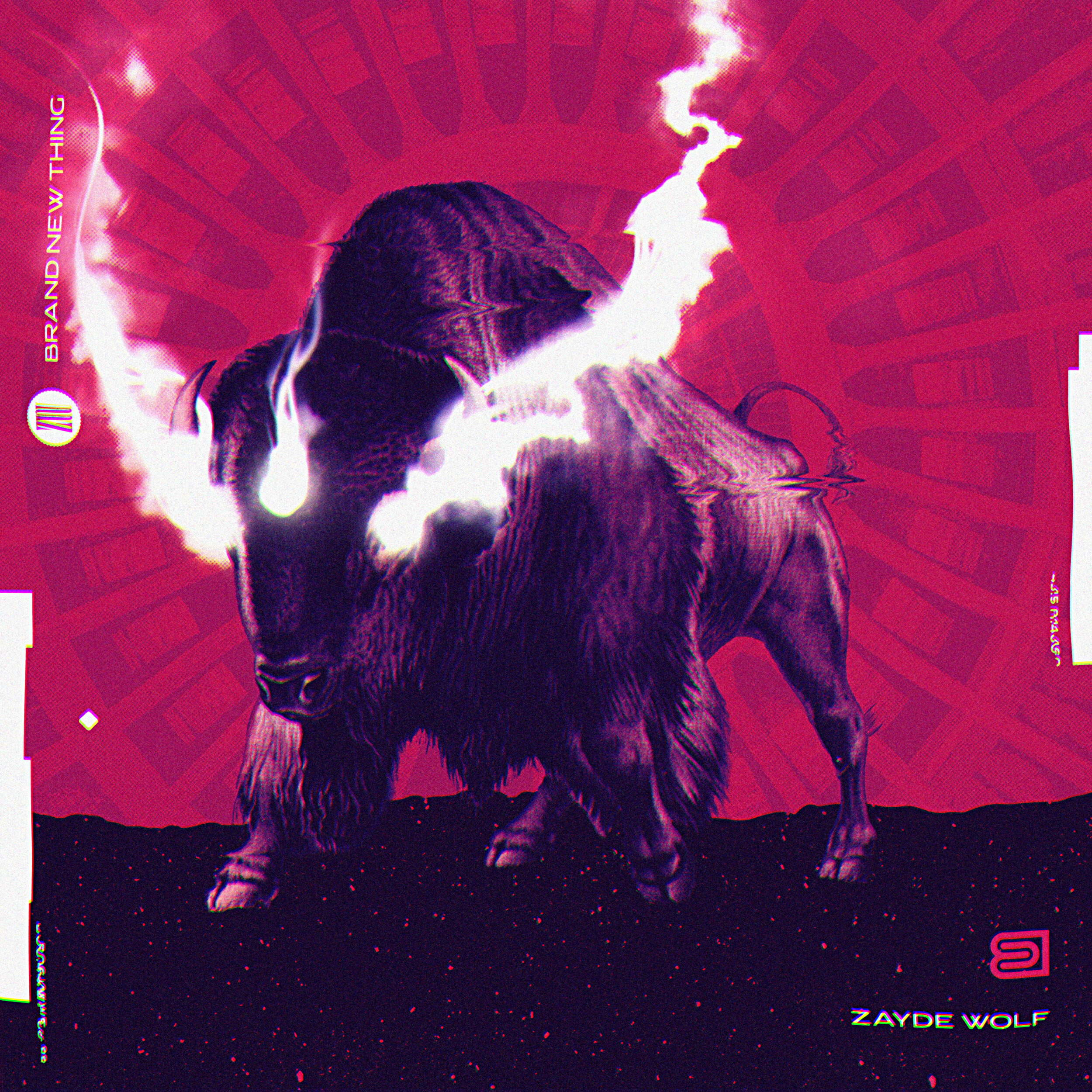 Zayde Wolf — News — Sideways