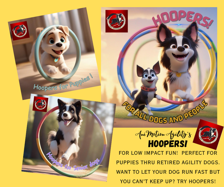 Dog Hooper Classes — AniMotion Agility