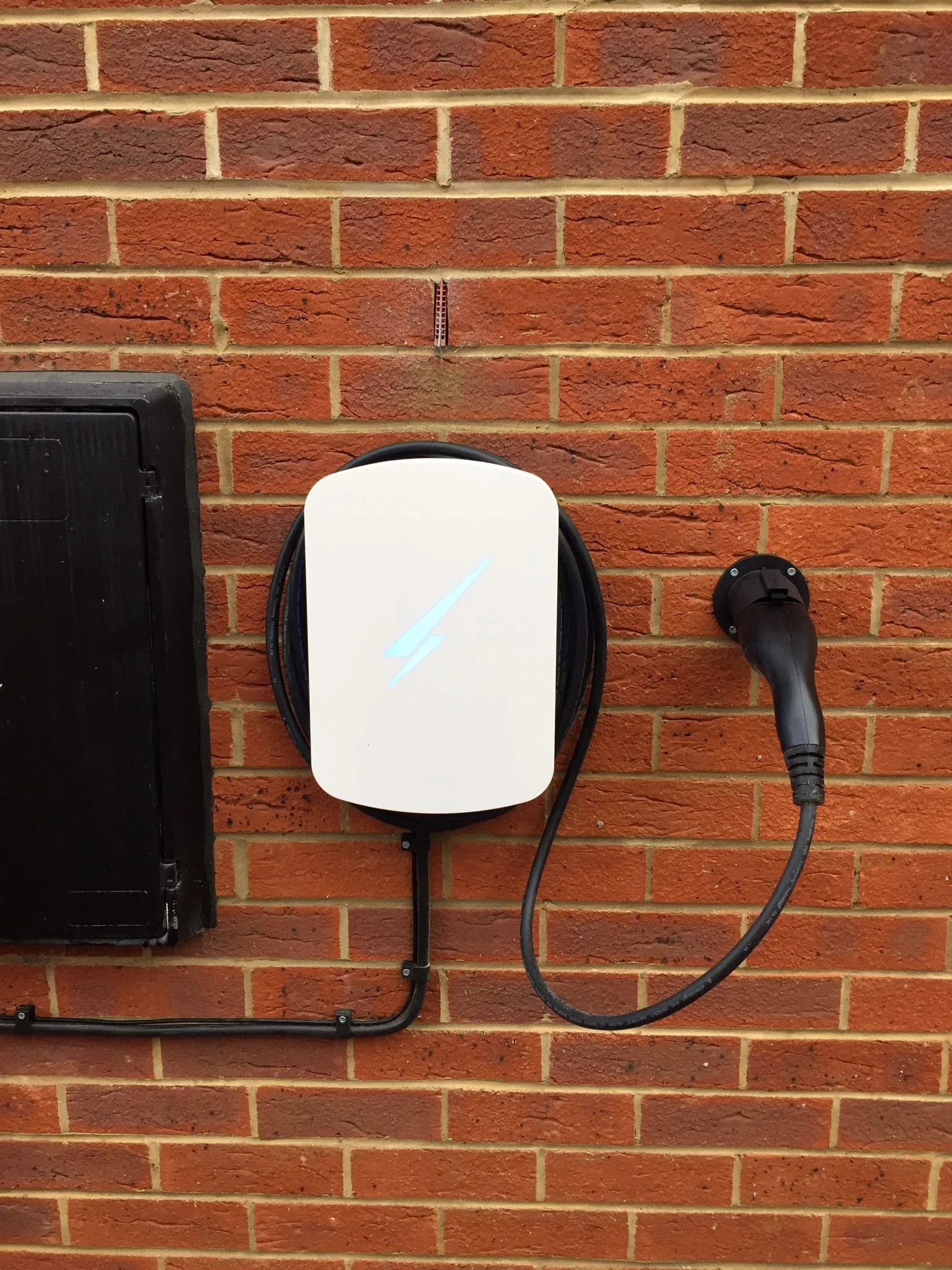 Our Experience | Elecology