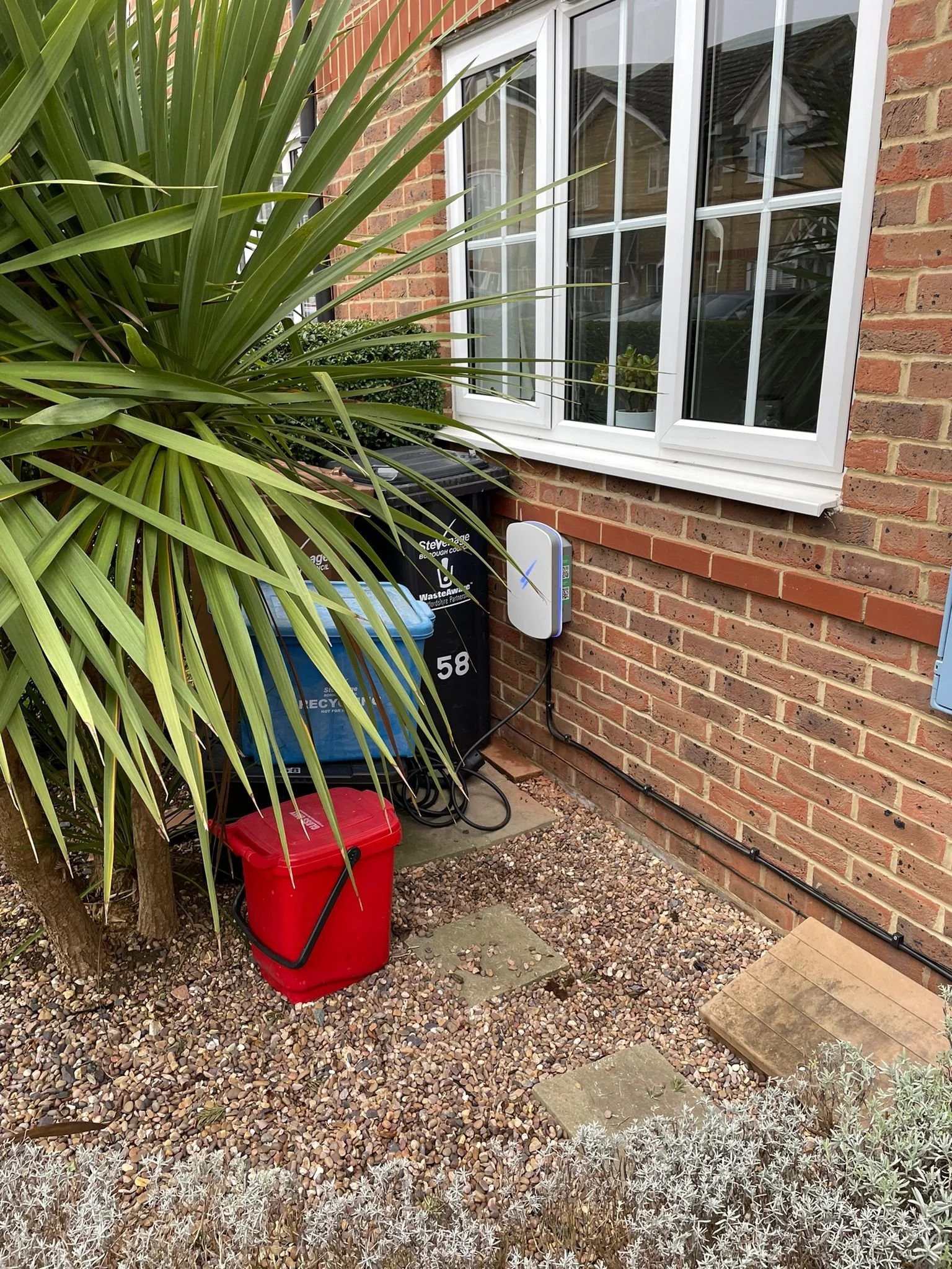 Our Experience | Elecology