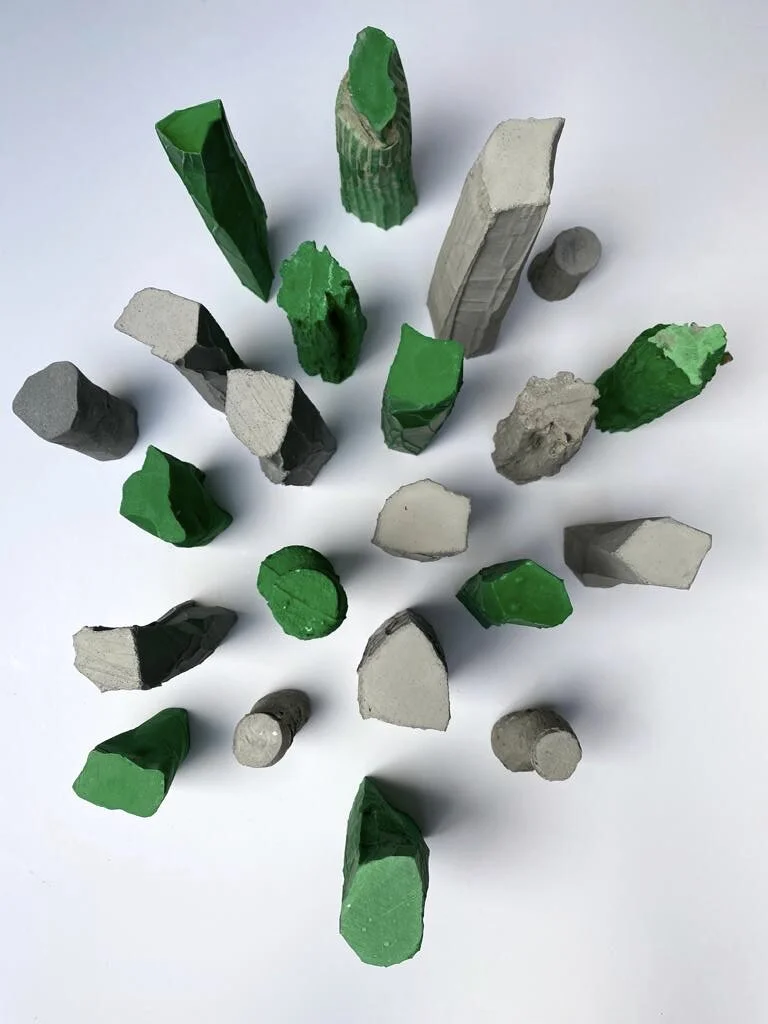 Rewild — MAY WILD STUDIO