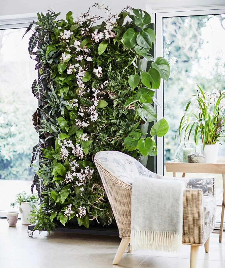 HOW I BUILT AN INDOOR LIVING PLANT WALL — luke arthur wells