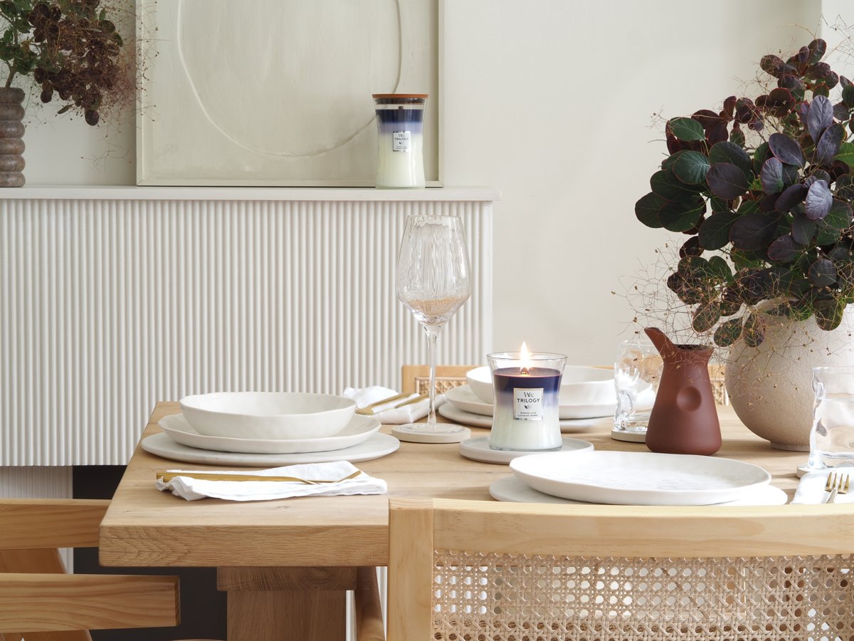 SETTING THE TONE FOR A TRANSITIONAL DINNER PARTY — luke arthur wells