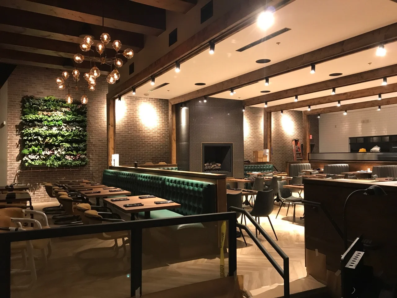 Union Bear Brewing Co.