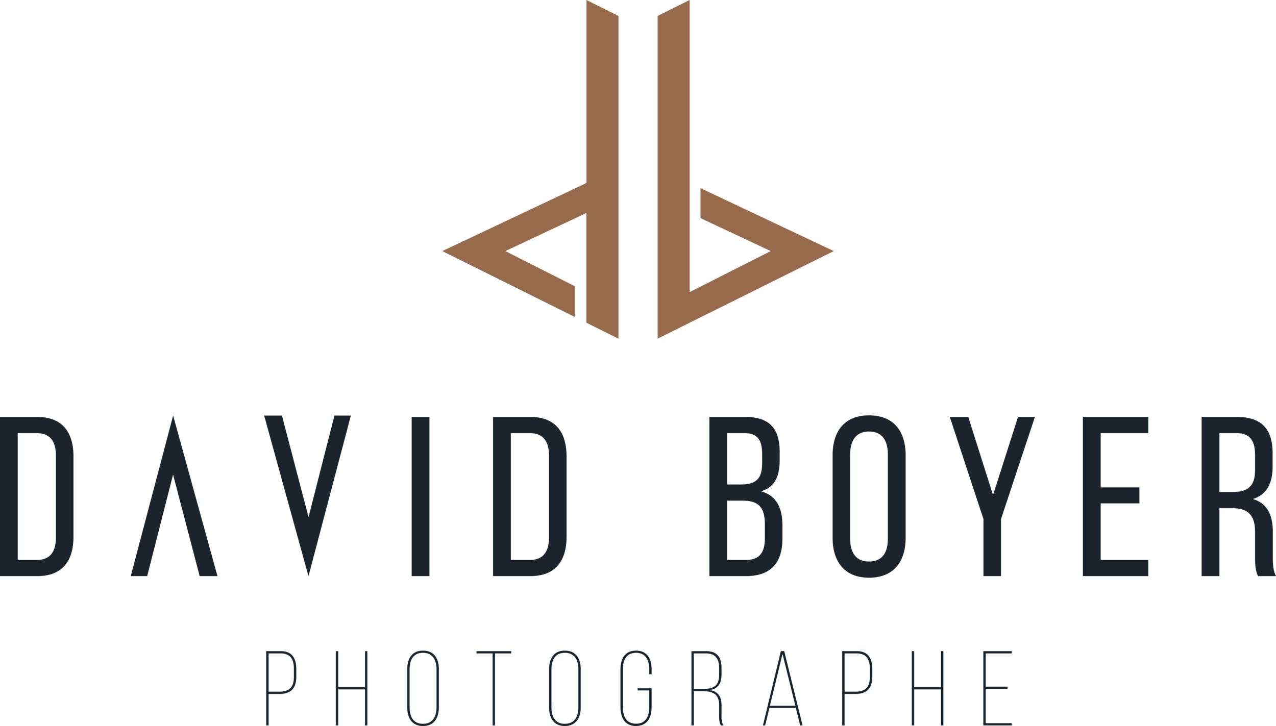 David Boyer Photographe