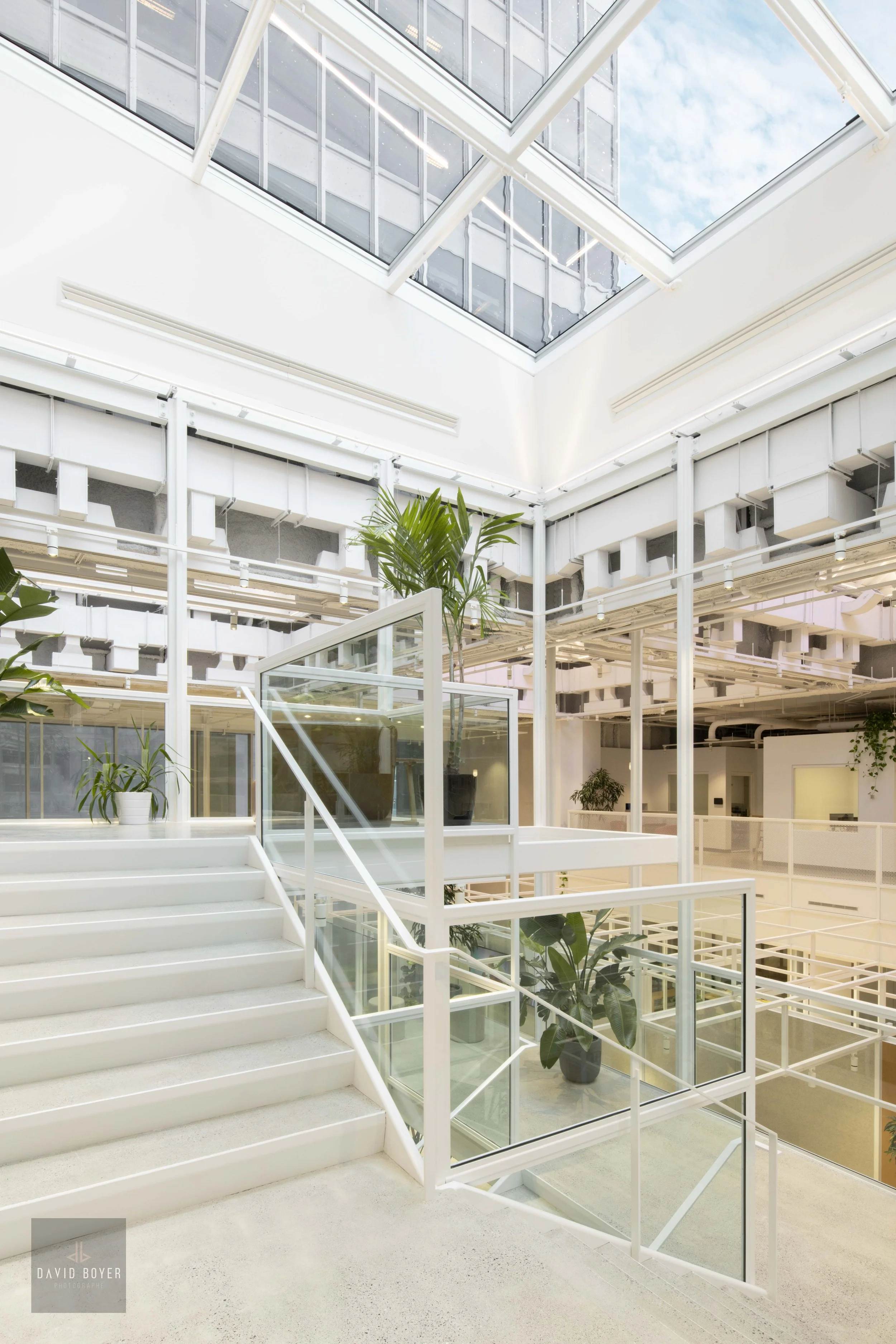 David Boyer Photographe