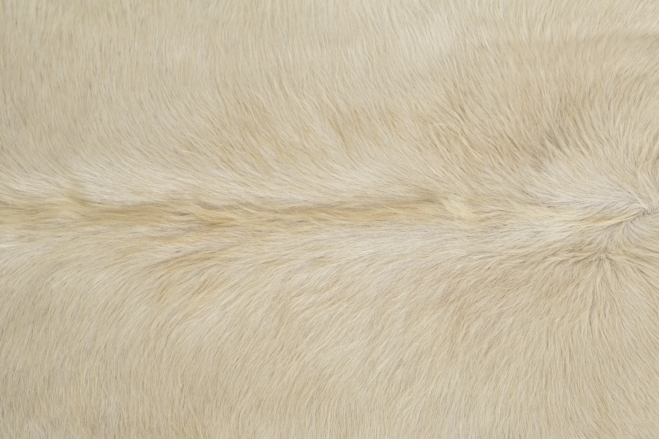 White — Gallery Cowhides