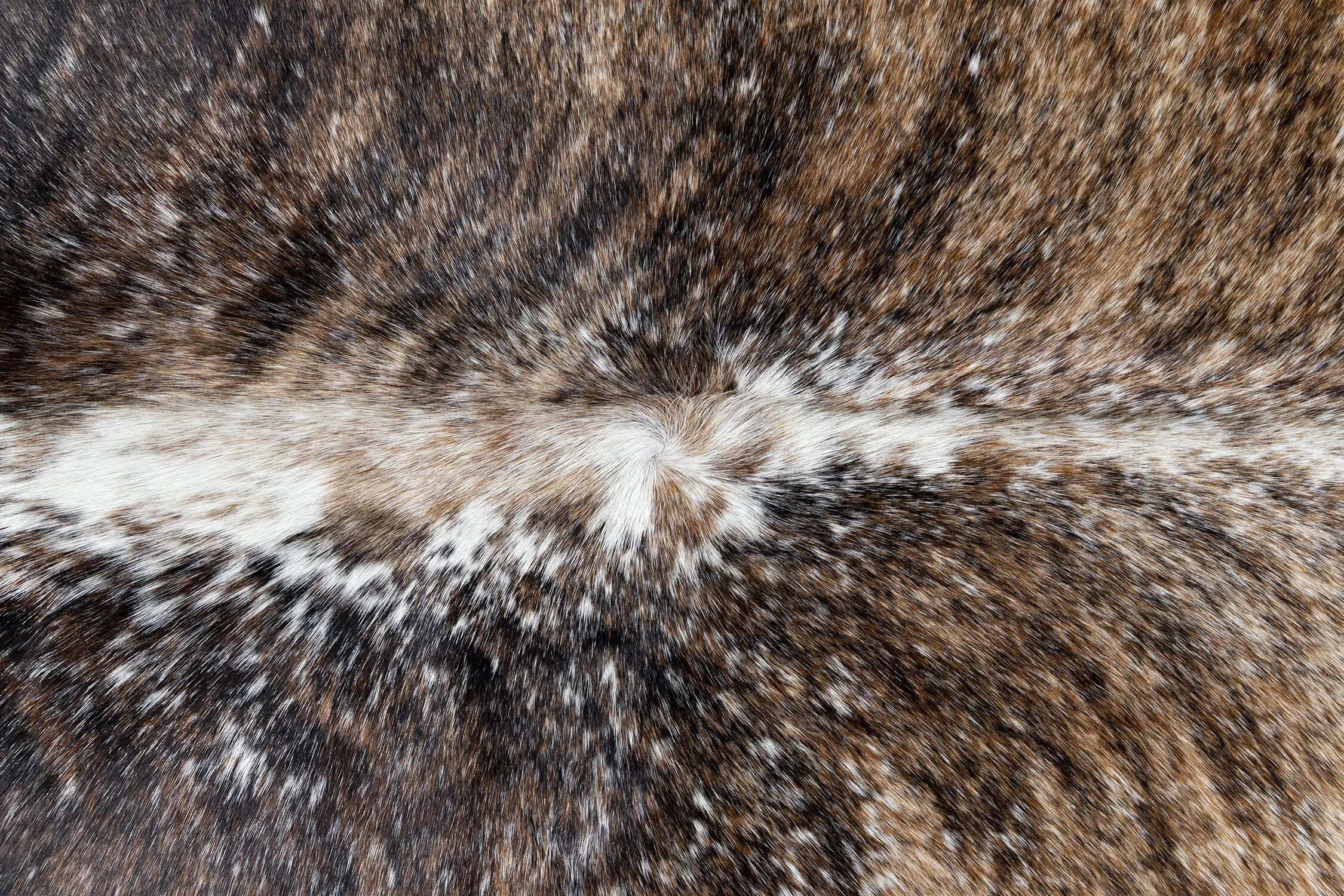 Brindle — Gallery Cowhides