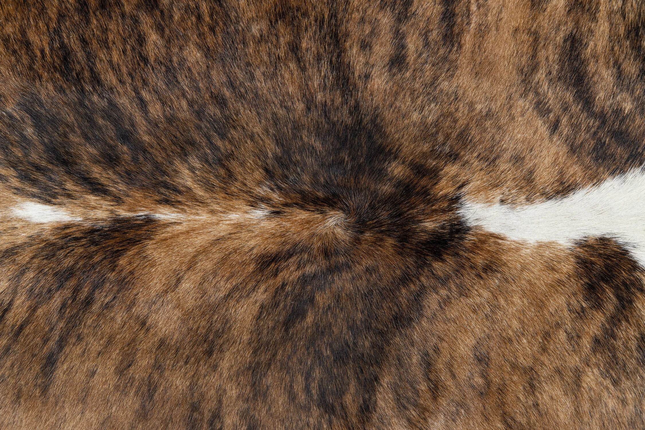 Brindle — Gallery Cowhides