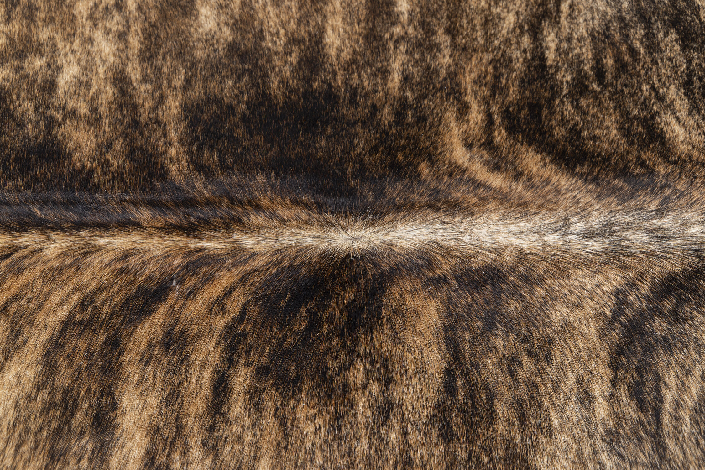 Brindle — Gallery Cowhides