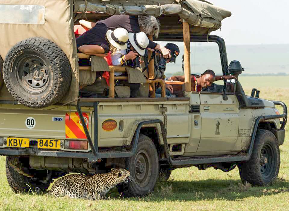 How to Find a Leopard — Kathy Karn Photography