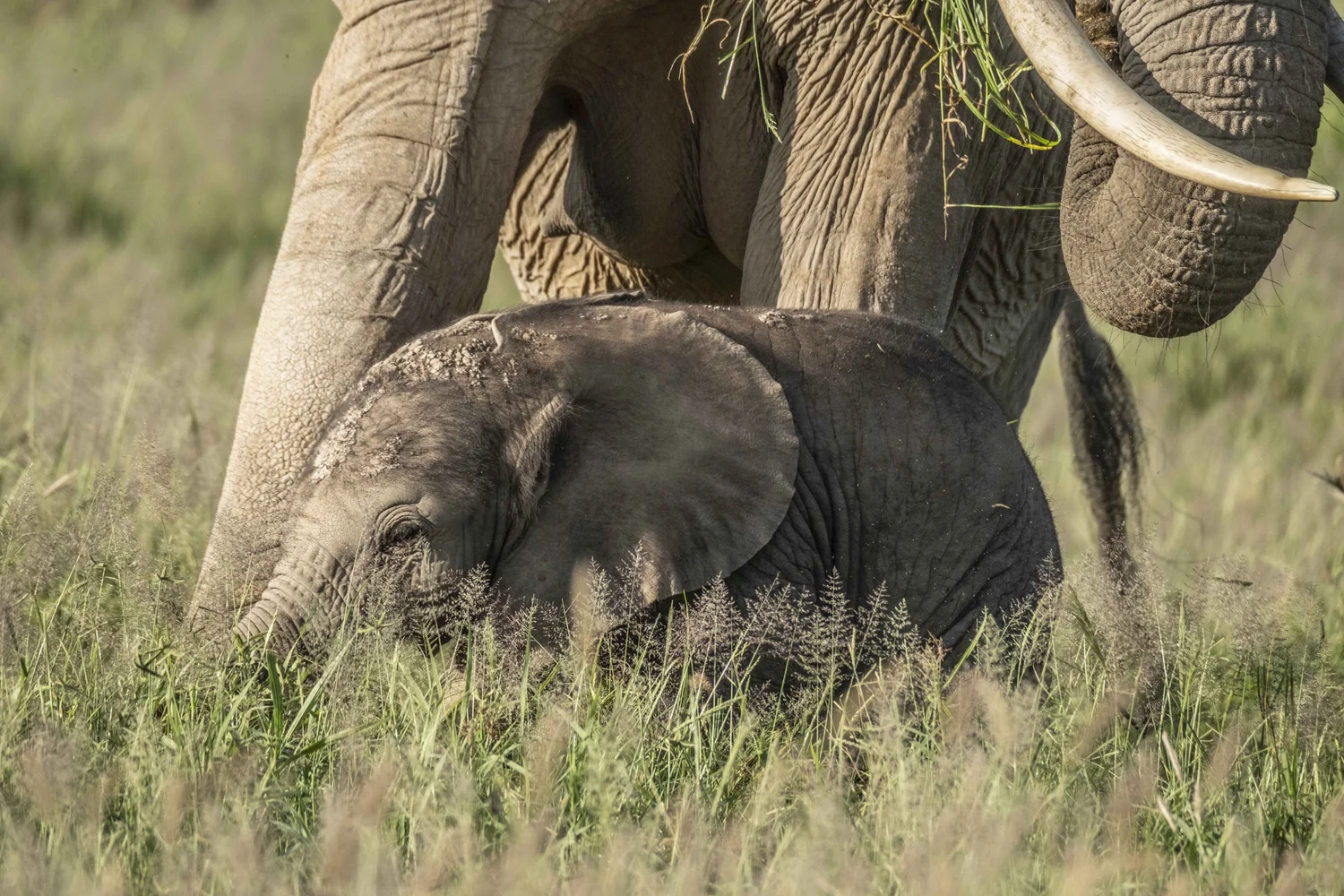 Listen to the Children — Kathy Karn Photography