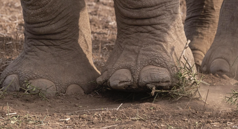 RIP Craig — Kathy Karn Photography