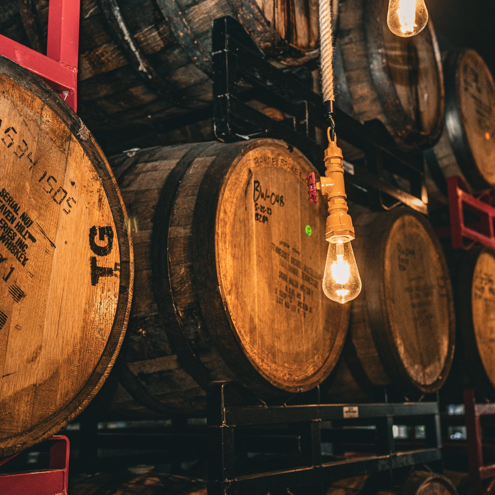 MORE Brewing Company