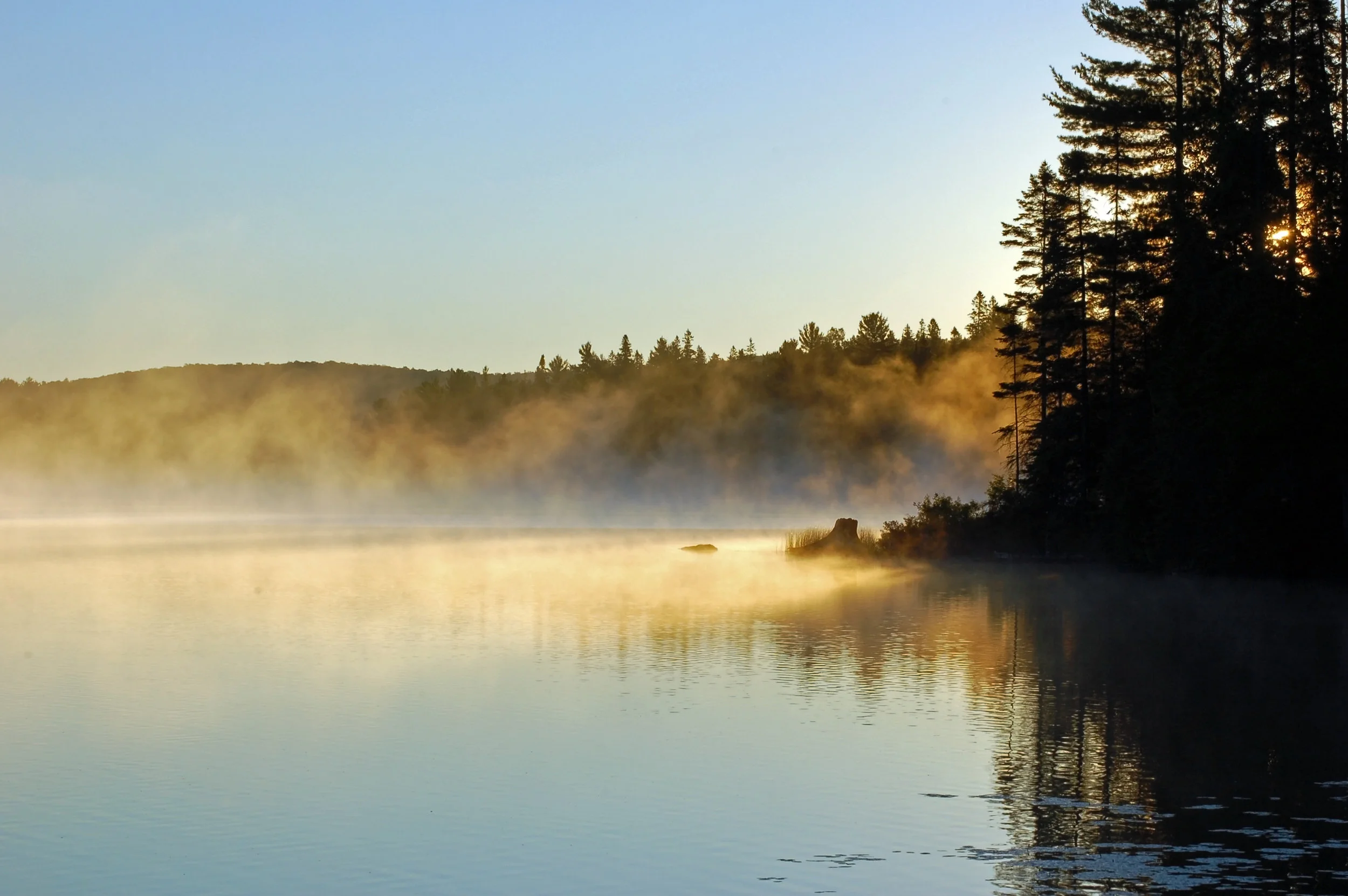 Core Values — Brattle Point, LLC