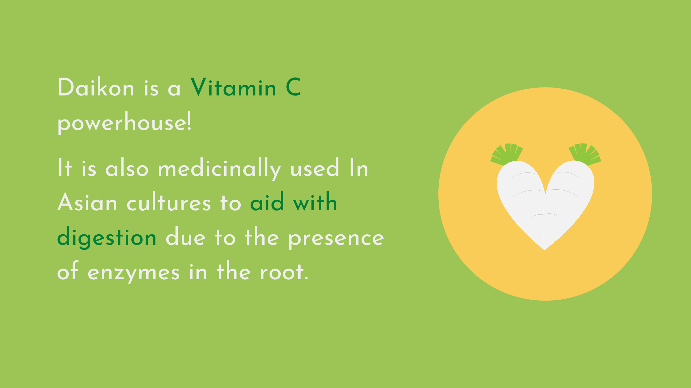 What is Daikon? — Food Roots