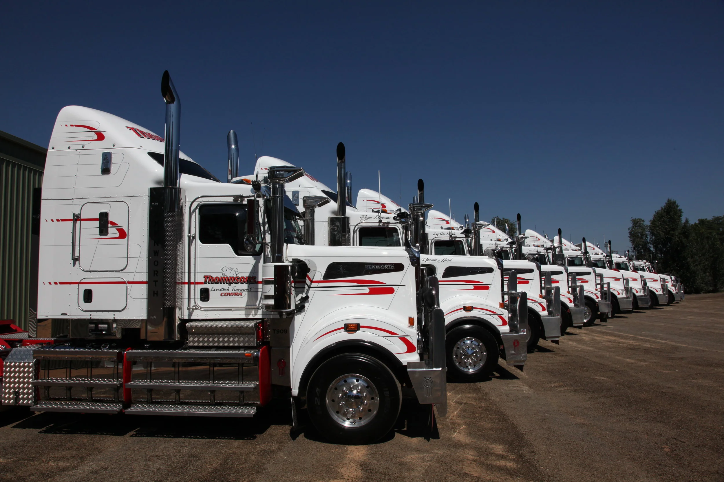 Services — Thompsons Cowra Livestock Transport