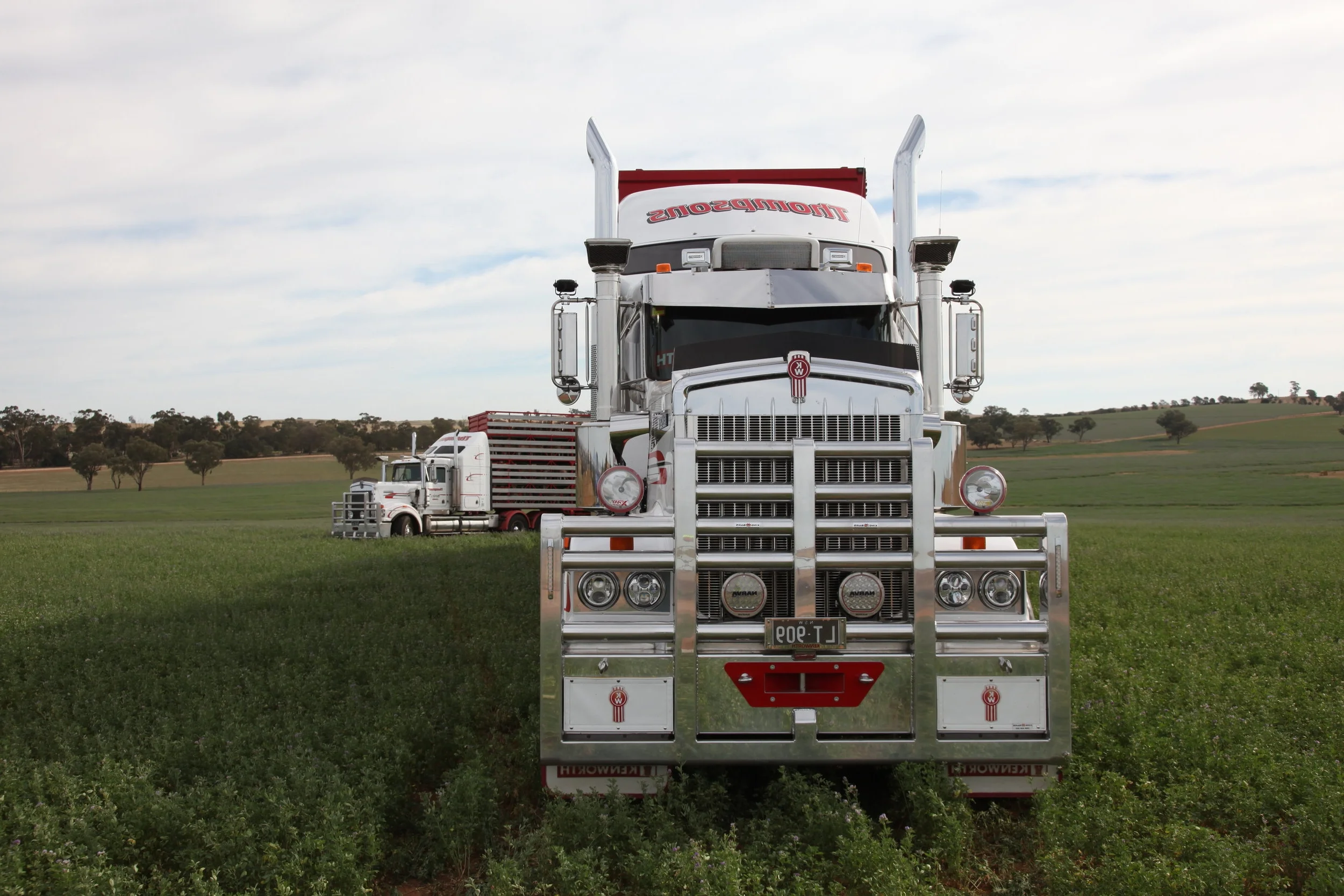 Services — Thompsons Cowra Livestock Transport