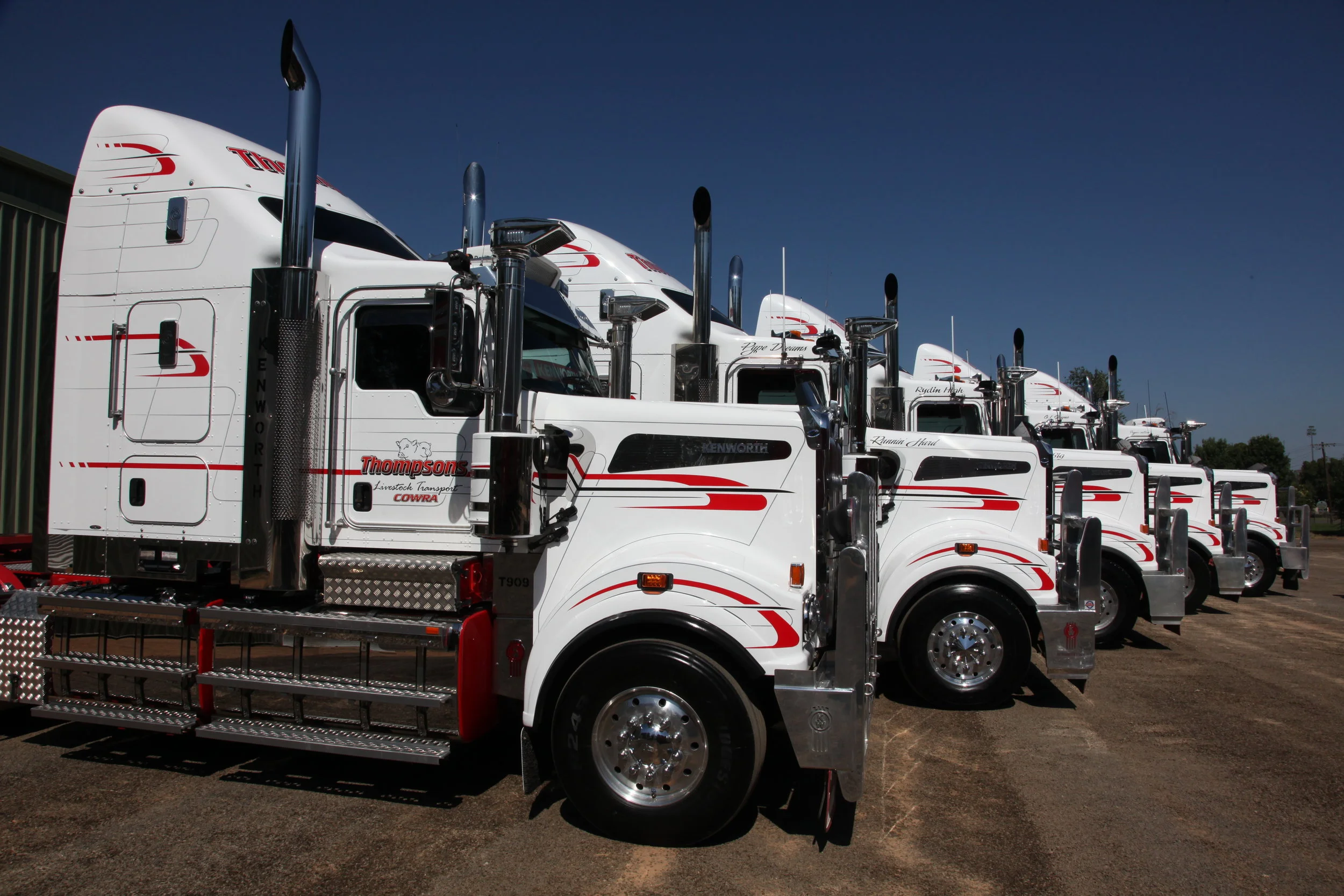 OUR TRUCKS — Thompsons Cowra Livestock Transport