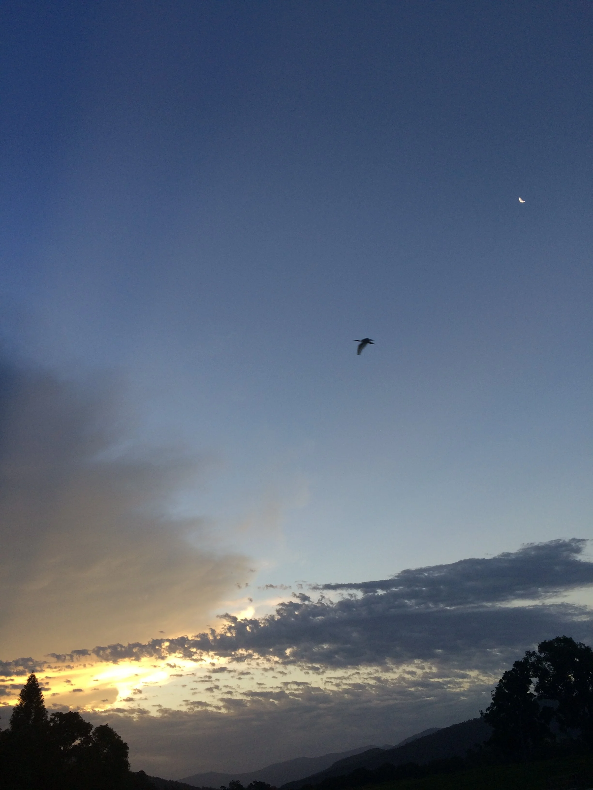 Music — James Bird