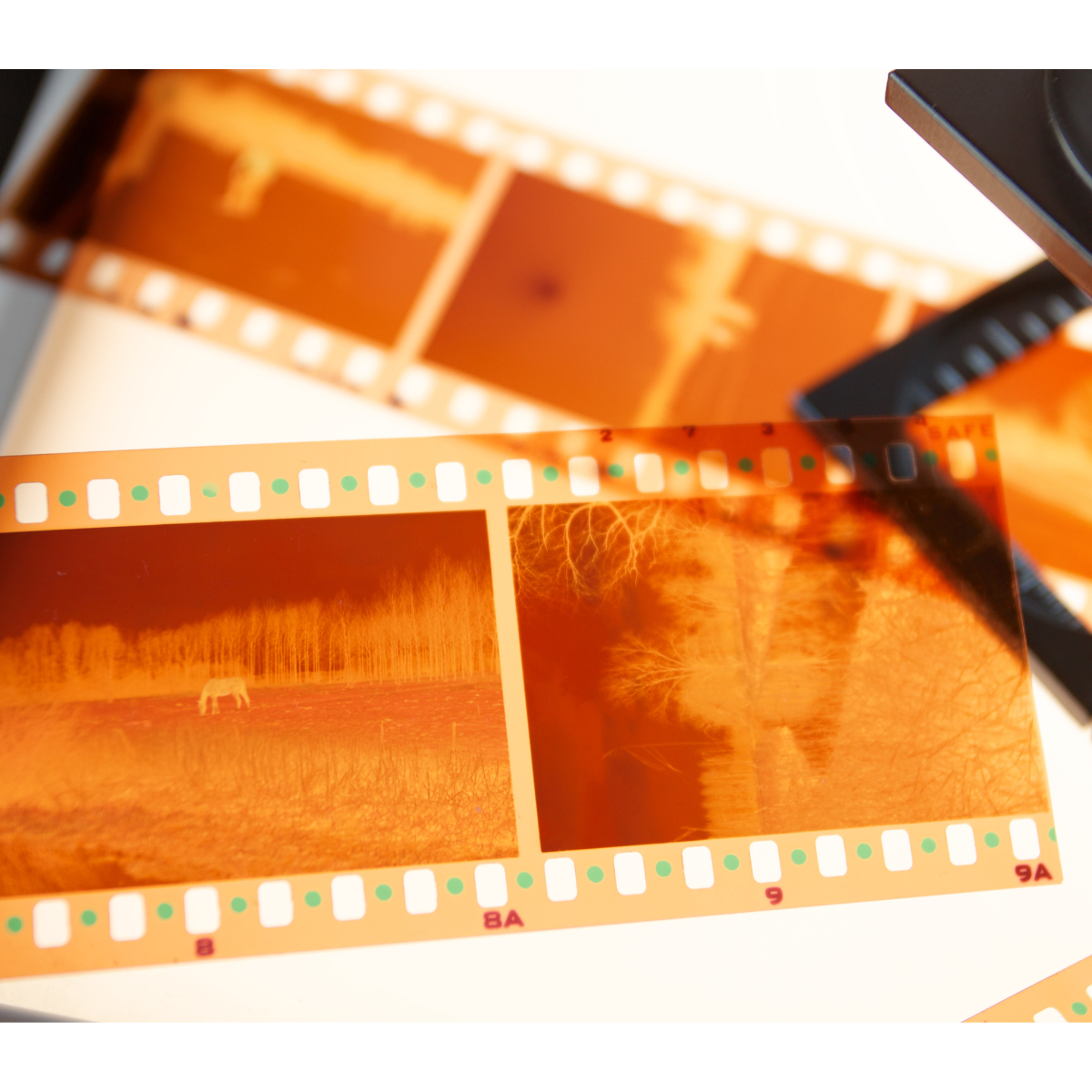 Professional Media Digitization Services in Brisbane