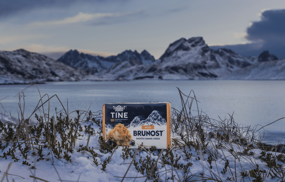 TINE SA — Norwegian Chamber of Commerce in Japan