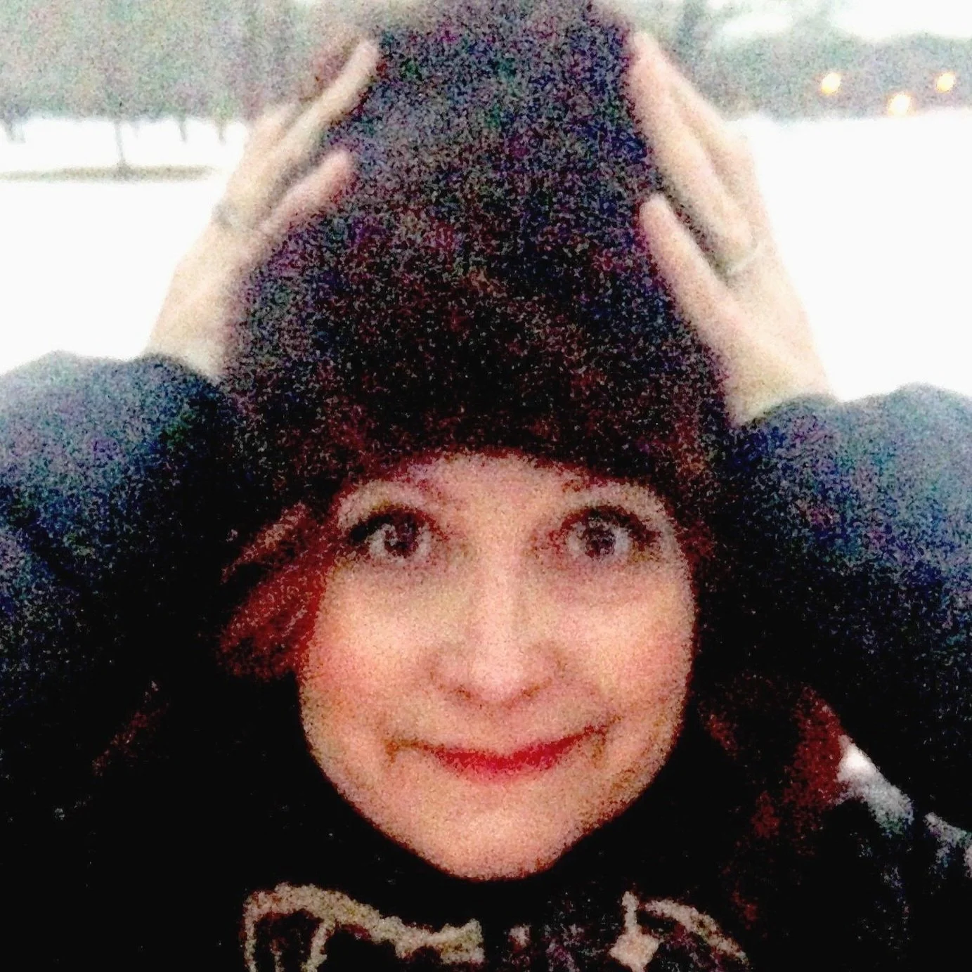 Contact — Susan Ferrara